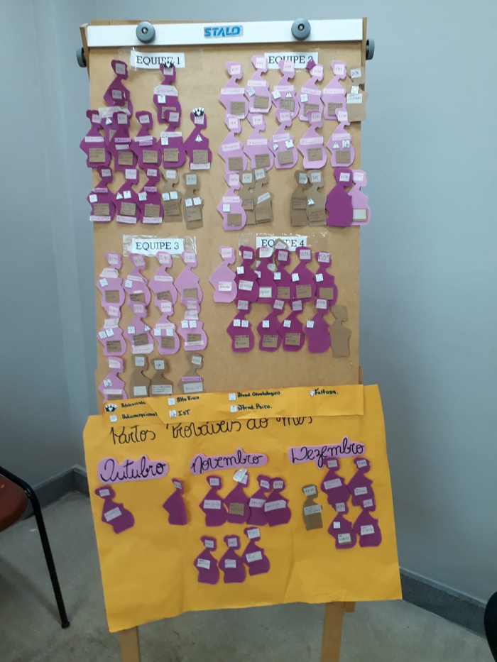 Estudantes da Saúde criam Mapa Inteligente para Gestantes em São ...